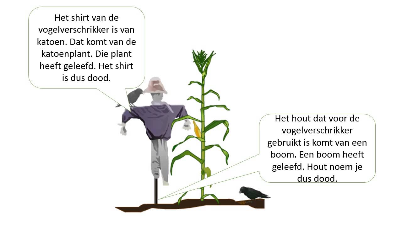 levend dood levenloos - YouTube