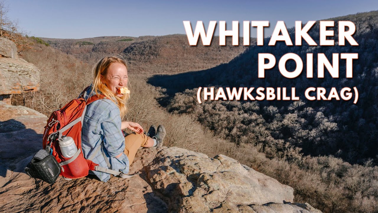 Whitaker Point // Hawksbill Crag // Arkansas December Hiking - YouTube