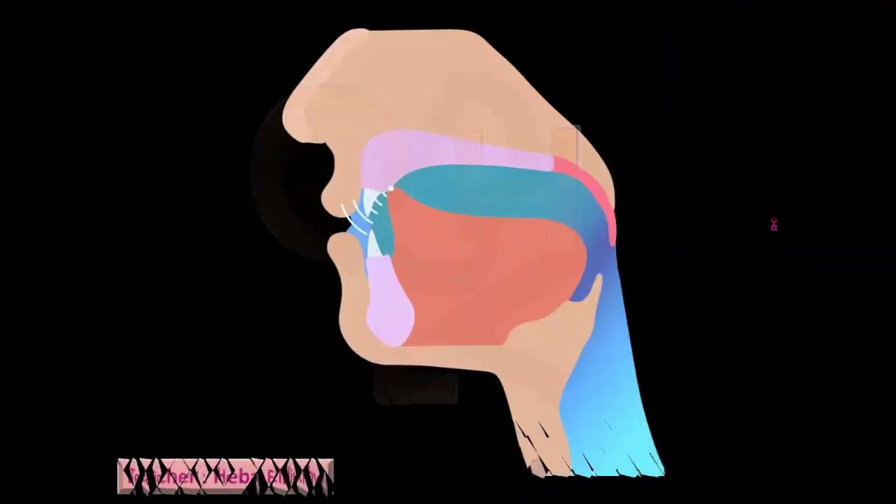 16 -The Articulation point of letter RAA ر makharij - YouTube