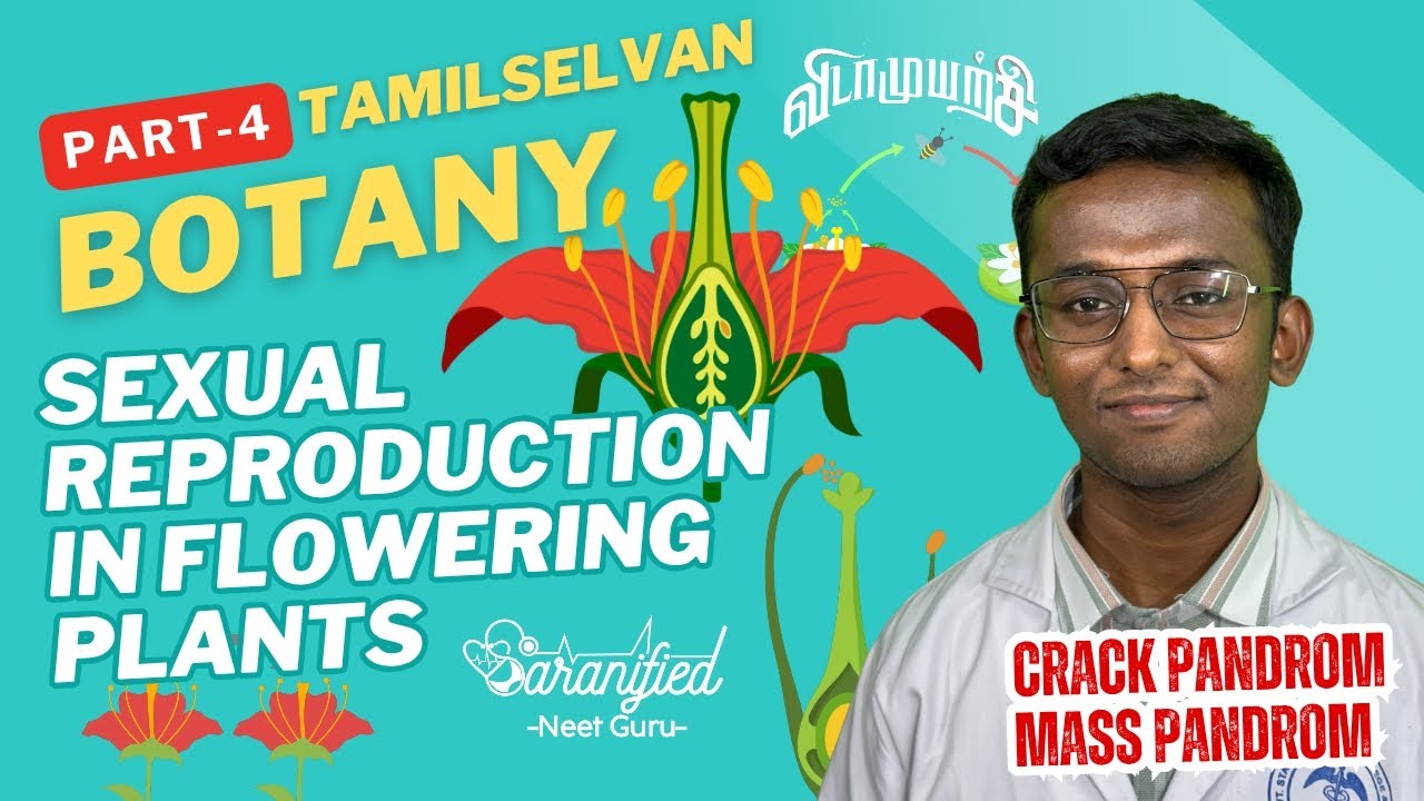 Botany - Part 4| Sexual Reproduction in Flowering Plants part -1 ...