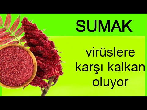 SUMAK FAYDALARI