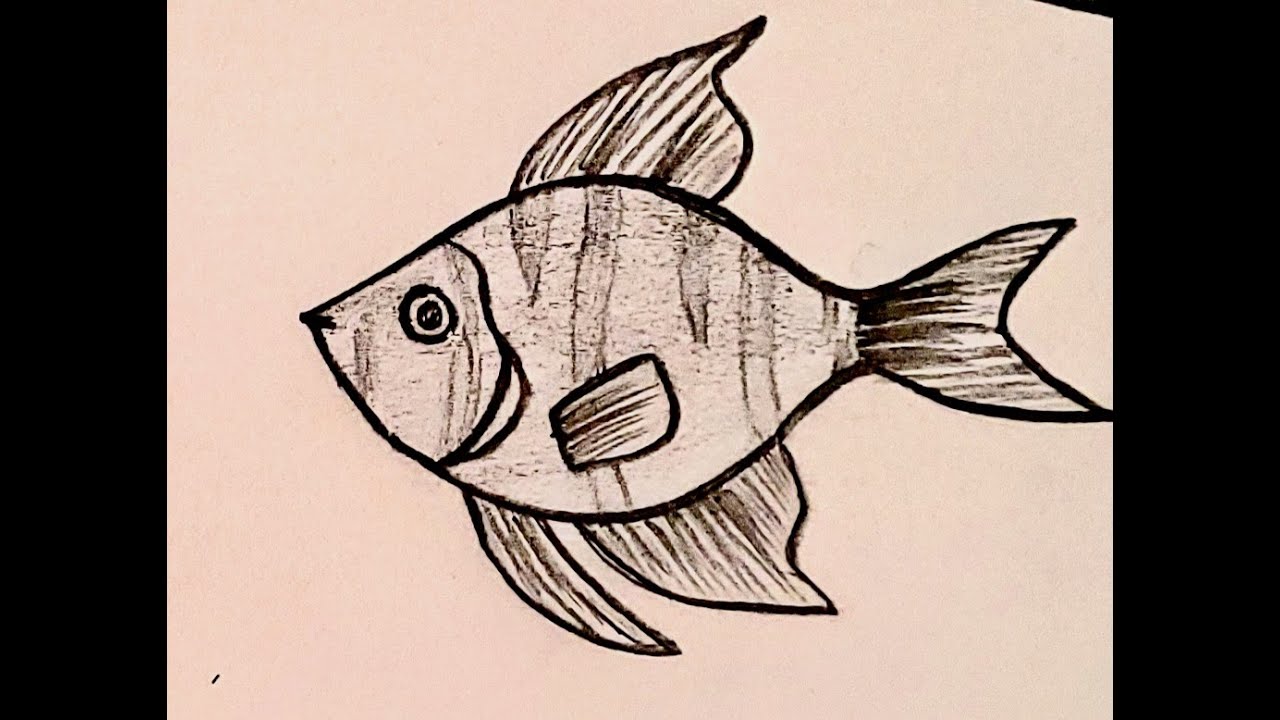 Fish drawing | how to draw a tropical fish | easy fish drawing - YouTube