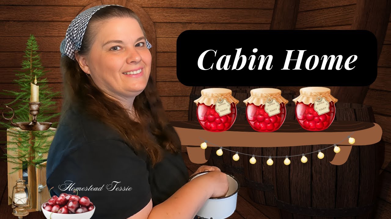 Simple Life Reclaimed, Mobile Home Cabin Aesthetics ~Cozy on a Tight ...