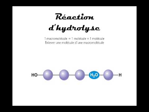 Hydrolyse - YouTube