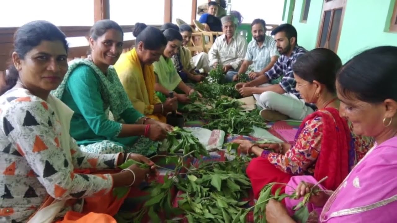 SPNF CHAMBA, Nov.2019 Subhash Palekar Natural Farming-Prakritik Kheti ...
