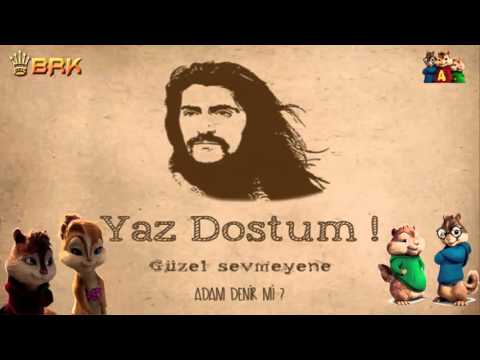 Barış Manço - Yaz Dostum (Sarı Çizmeli Mehmet Ağa) Alvin ve Sincaplar Versiyon