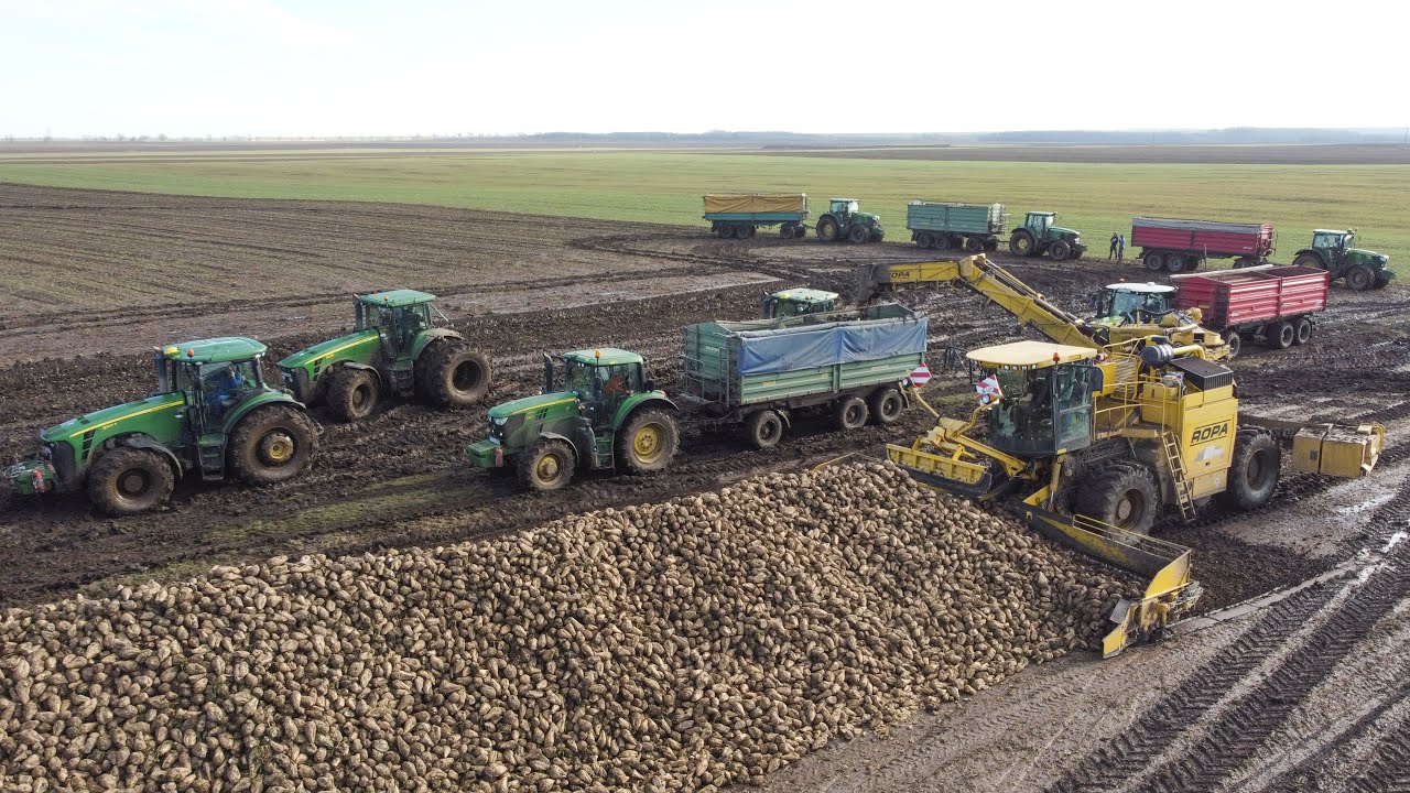 Cukorrépa szedés és szállítás 2024 Holmer T3 & Ropa Euro Maus 3 | 20x ...