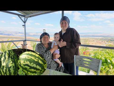 KÖYDE YAŞAM PAMUK PİRENSİMİZ VE BAHÇEMİZDE SON GELİŞMELER ÖZLEM KIZIMIZ TEMİZLİK YAPMIŞ