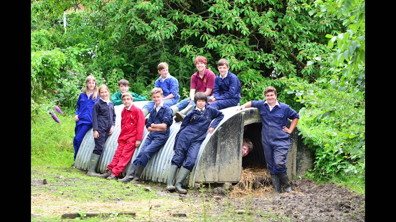 July 2014 - This Month at Oathall Farm - YouTube