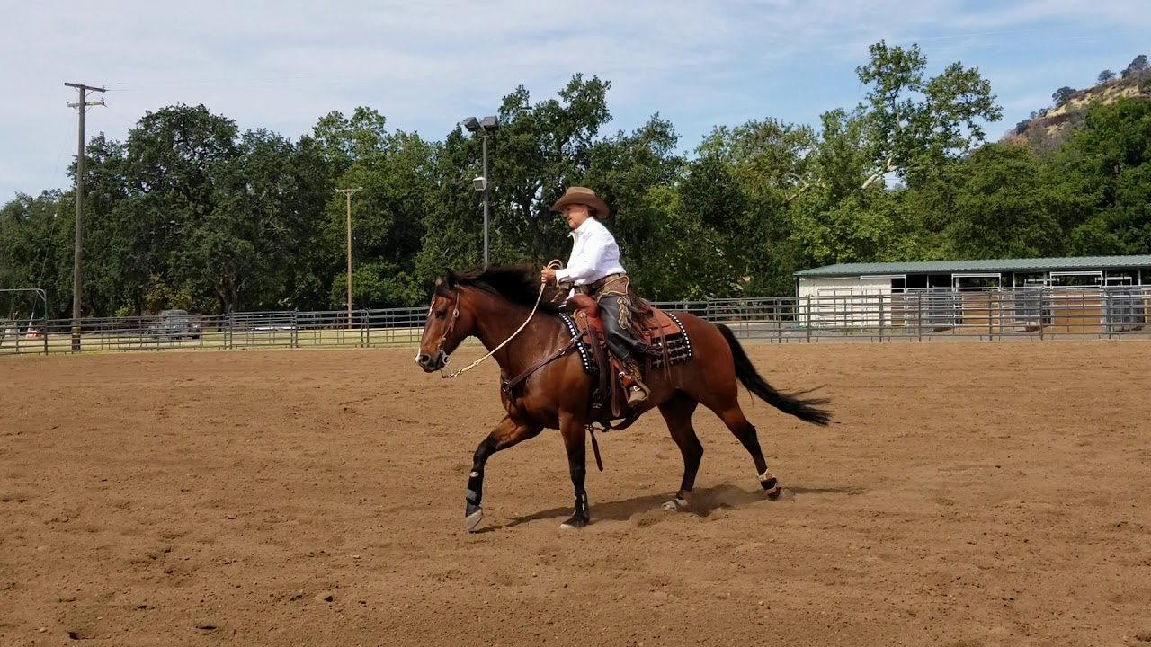 WCRH Select Ranch Reining - YouTube