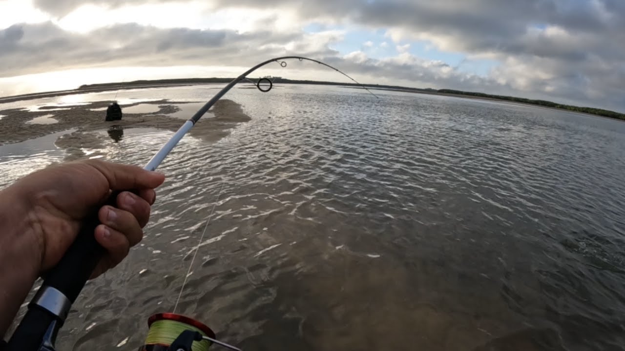 Walking across mid-chest deep water in NQ just to go fishing - Perhaps ...