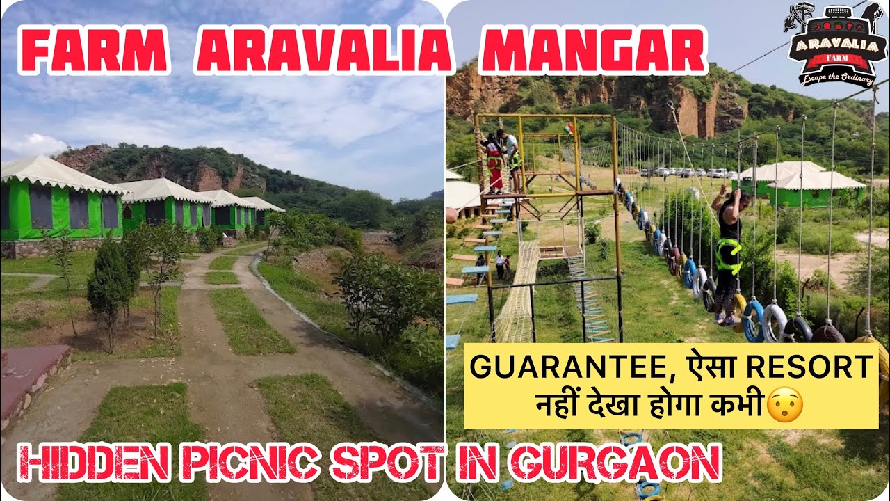 FARM ARAVALIA MANGAR🤩 BEST RESORT For PICNIC AND ADVENTURES ACTIVITIES ...