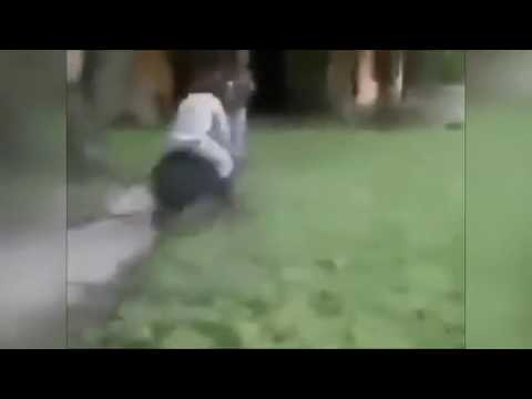 SUPRA IN ANIMALS 😂😂 !! - YouTube
