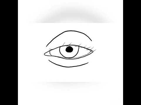 Eye opening and closing animation - YouTube