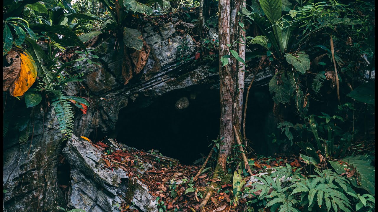 My trip to one of Cumaca Cave in Valencia Trinidad, showing you the way ...