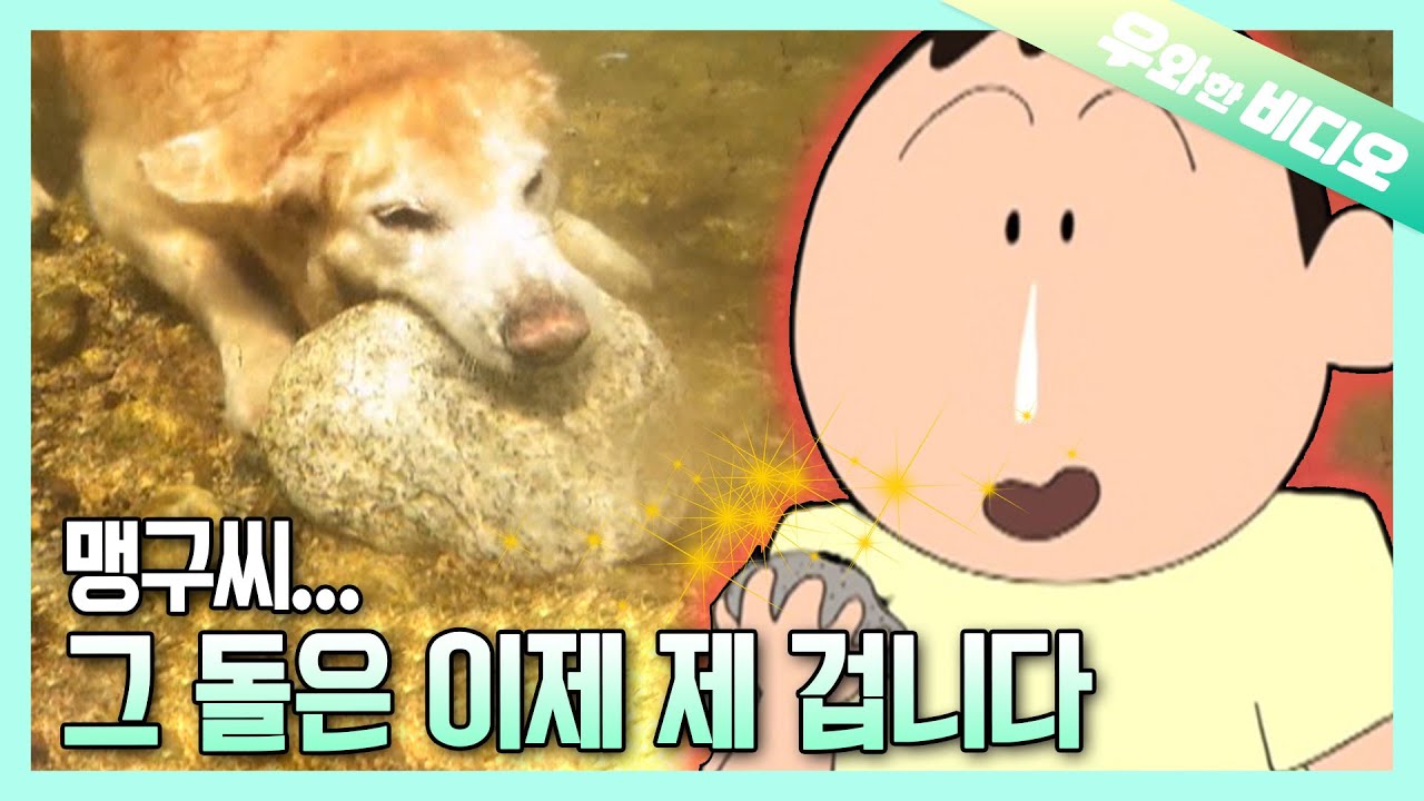 맹구 씨 이제 그 돌은 제 겁니다...맹구보다 더 한 ★돌처돌이 등장★┃Bo-chan! Now All Stones are ...