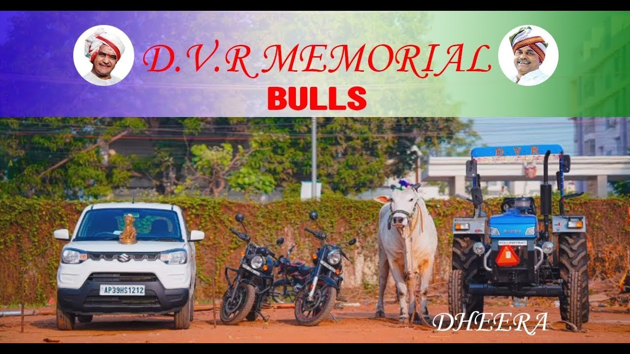 DVR MEMORIAL DHEERA AND BODIDHI IN VELPURU || BULLS OF ANDHRA - YouTube