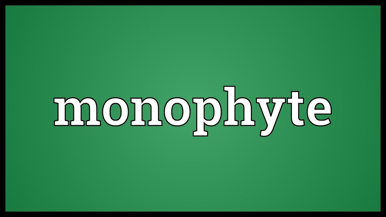 Monophyte Meaning - YouTube