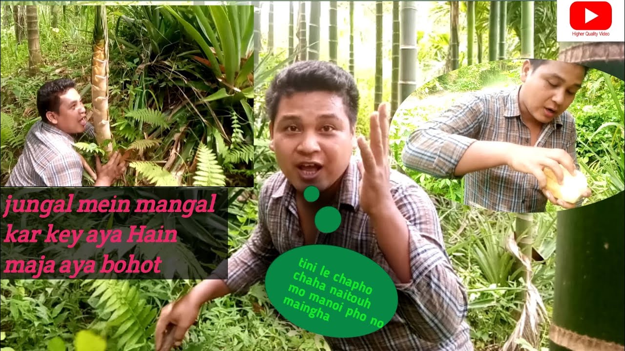 naitouh mo manoi maingha blung wo bamboo shoots vlogs - YouTube