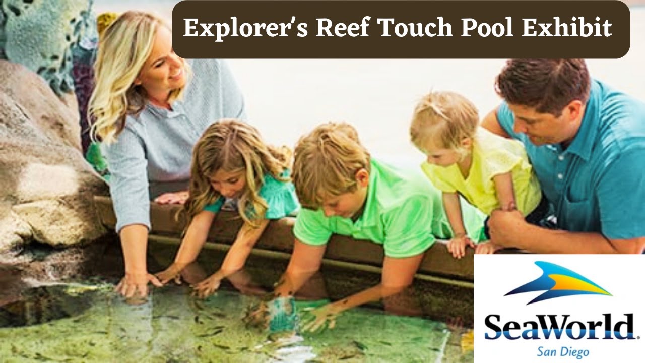Explorer's Reef Touch Pool Exhibit | SeaWorld San Diego | usa vlogs ...