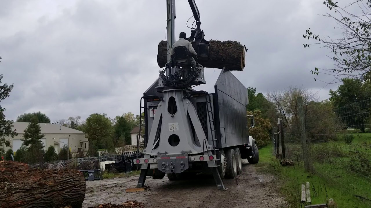 Loader truck unloading big oak log - YouTube