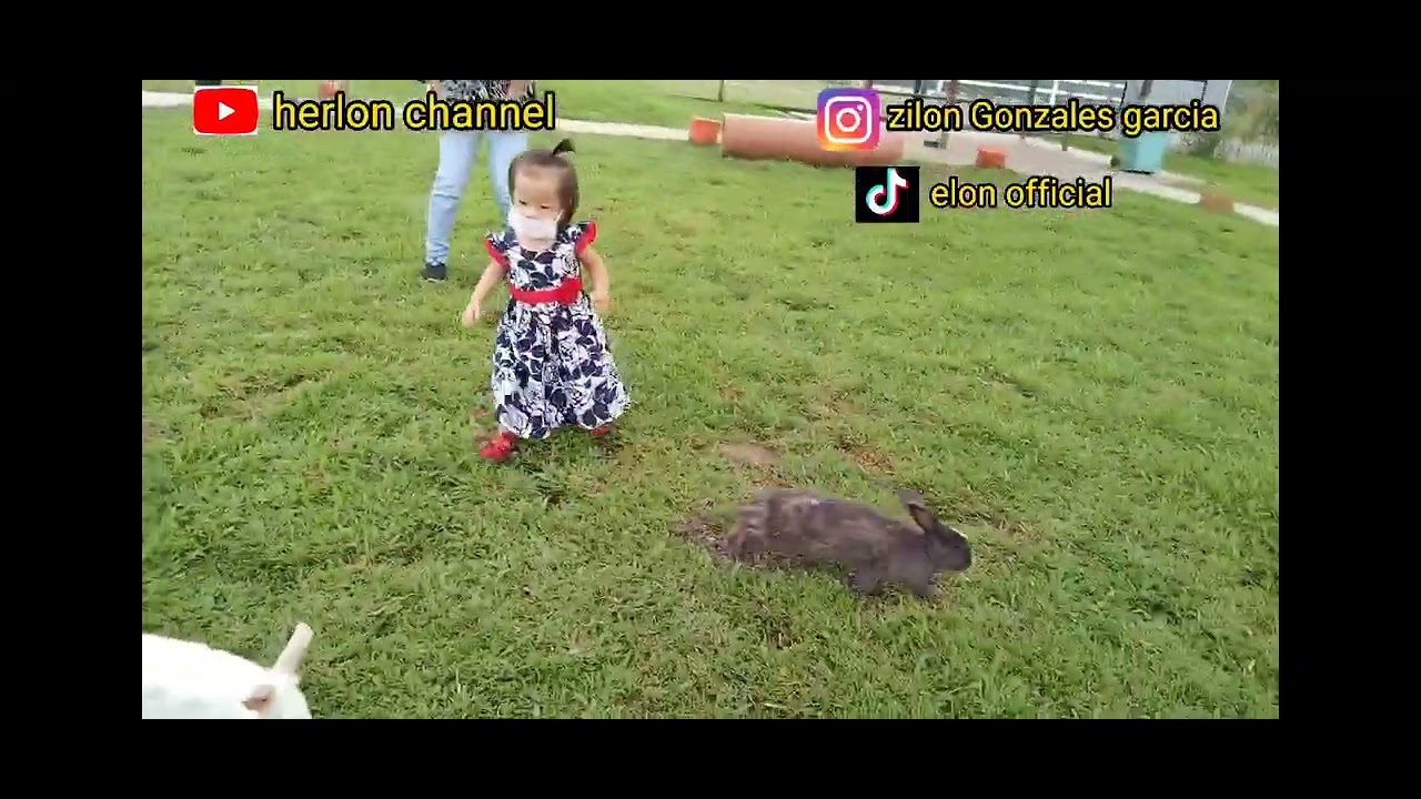 RANAU RABBIT FARM KOTA KINABALU SABAH - YouTube