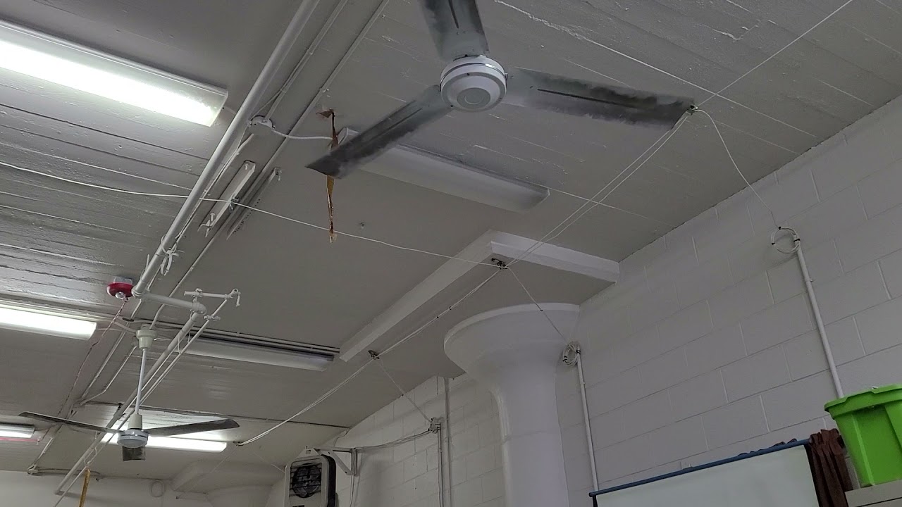 Two Dayton (Leading Edge) 48 inch Commercial/Industrial ceiling fans ...