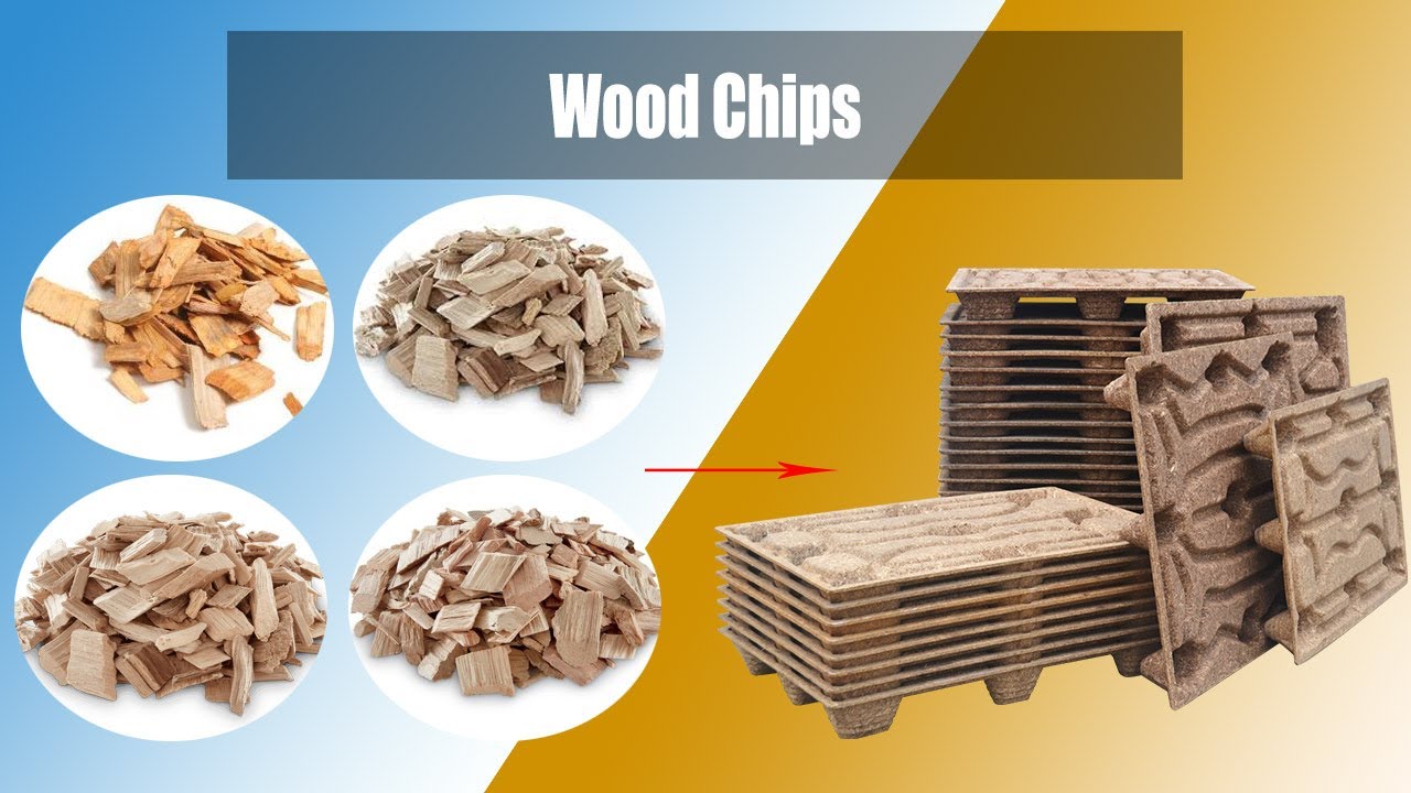 Raw Materials for Presswood Pallets Wood Chips - YouTube
