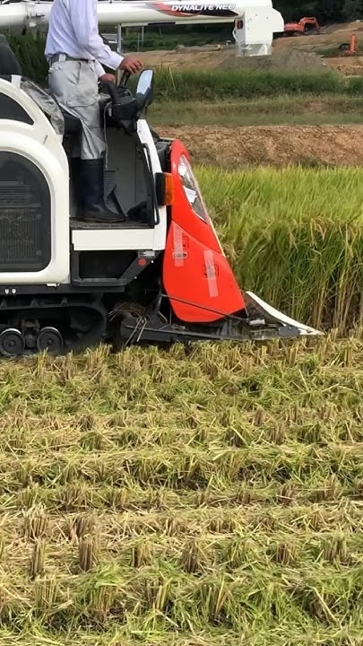 Kubota ER448 クボタの4条48馬力コンバインで刈り取りSTAR🏃‍♂️ - YouTube
