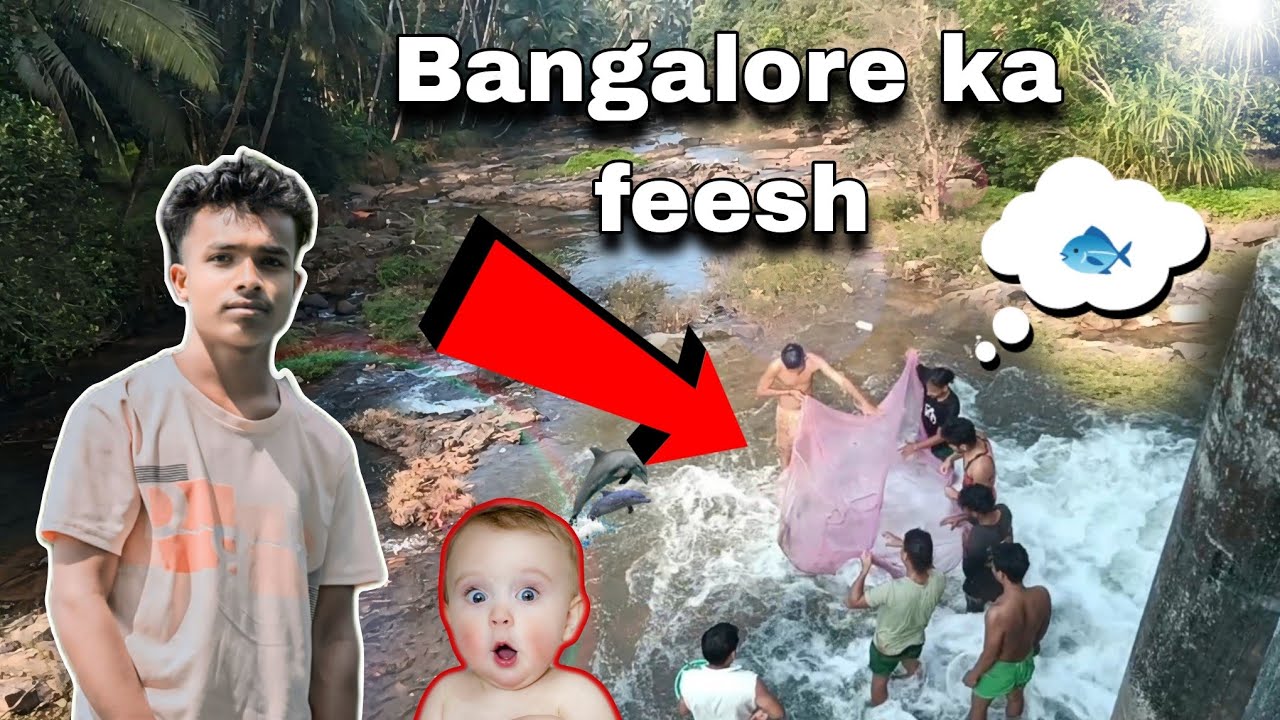 King Fish 🐳/ Bangaluru ka Feesh 🐠 Video / Feesh 🐬Vlogs video / Sudip vlogs video 🐬🐬🐬🐬 - YouTube