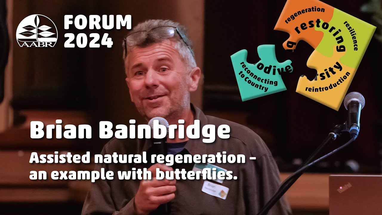 Brian Bainbridge - Assisted natural regeneration - an example with ...