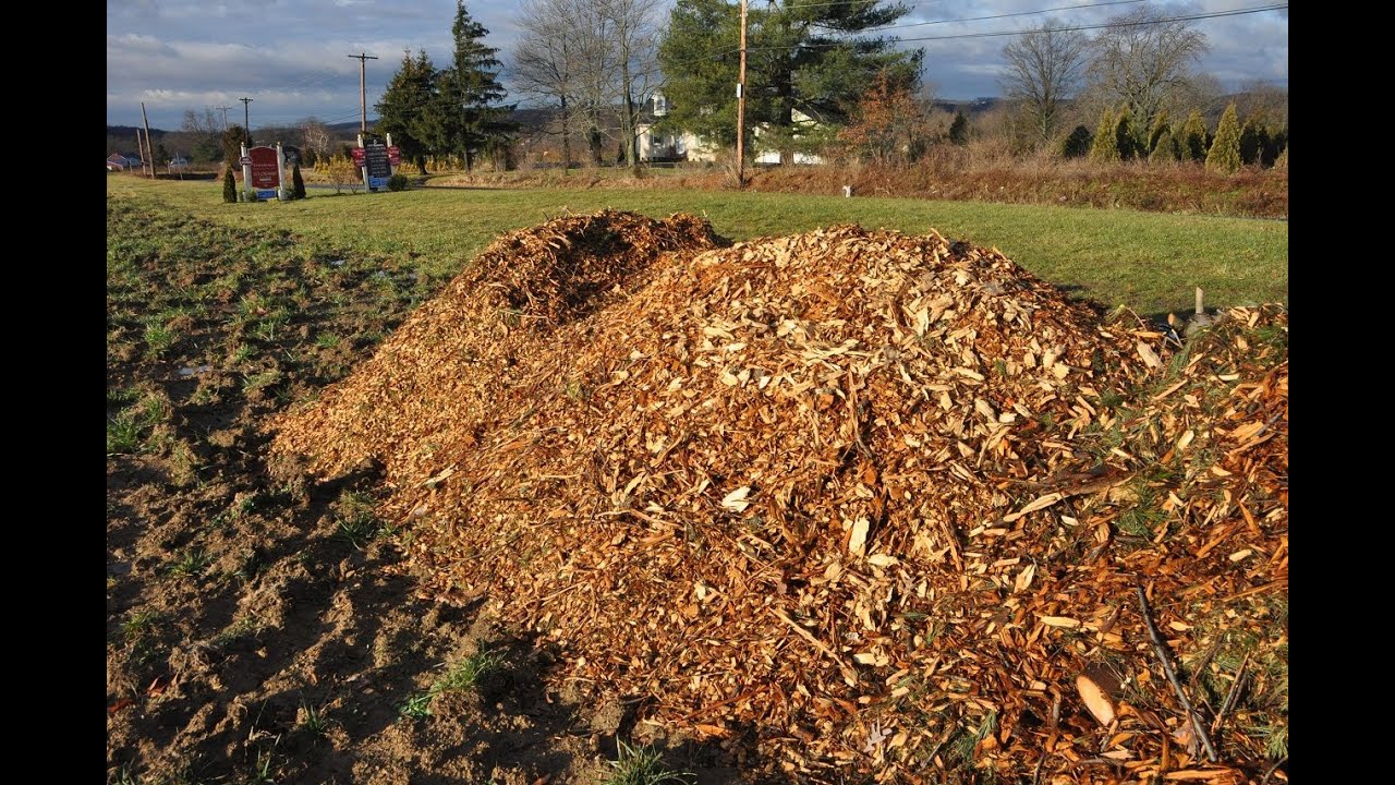 Deadly Chips ..... Beyond Dangerous to your Landscape - YouTube