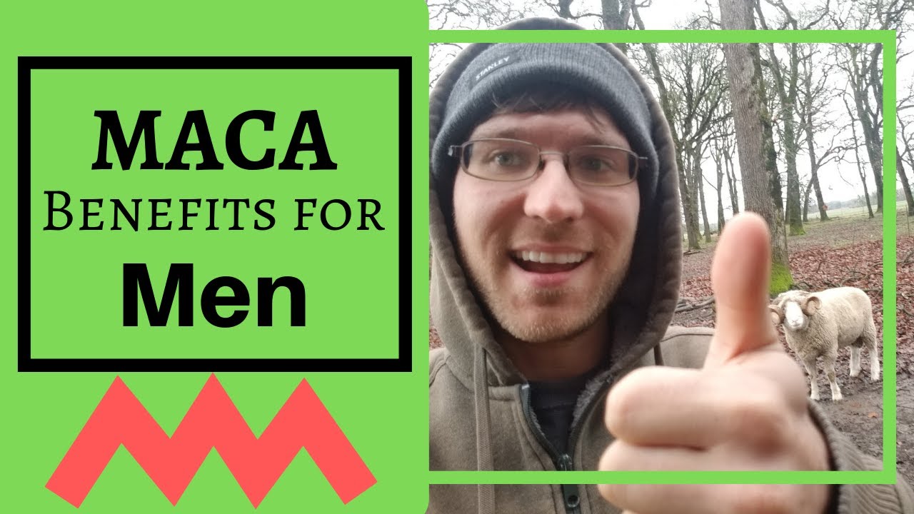 Maca Root Benefits for Men [2019] 😃 - YouTube