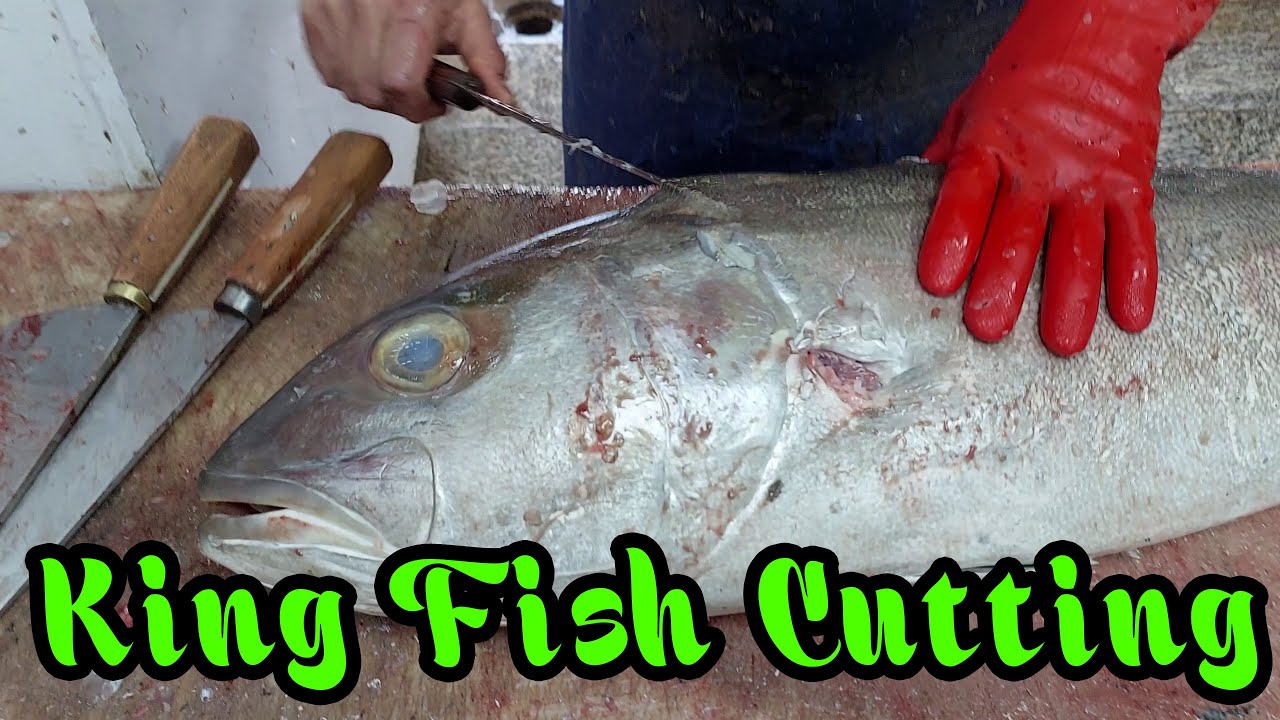 How To Clean Kingfish Perfectly 💯 The Best Cutting Fish Skills - YouTube