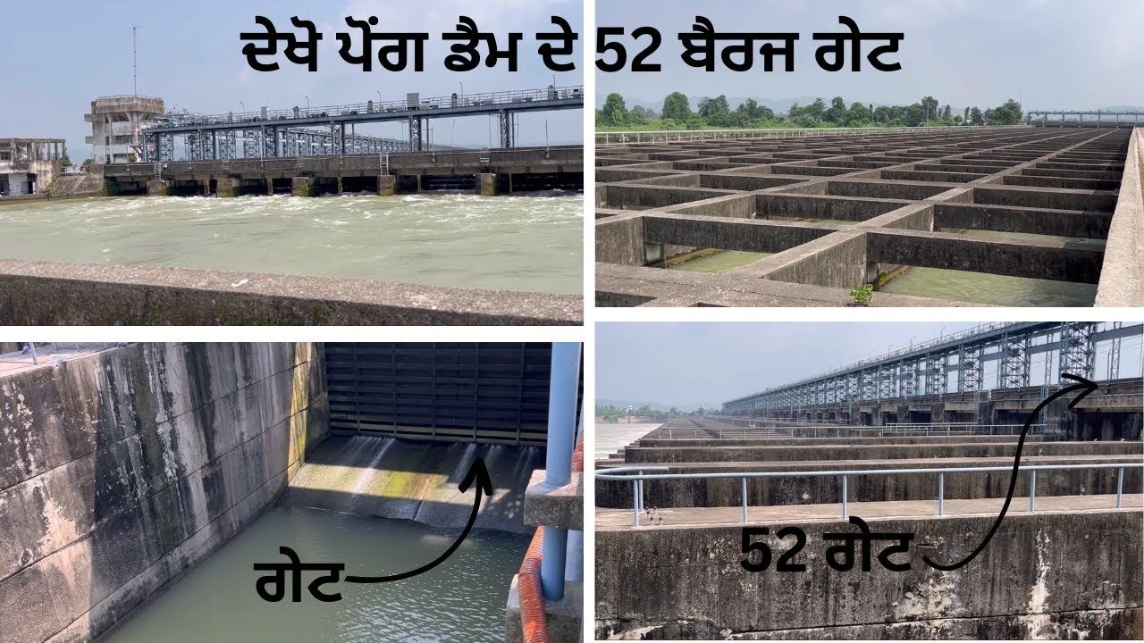 ਦੇਖੋ ਪੌਂਗ ਡੈਮ ਦੇ 52 ਬੈਰਜ ਗੇਟ(52 barrage gate at beas river) Talwara ...