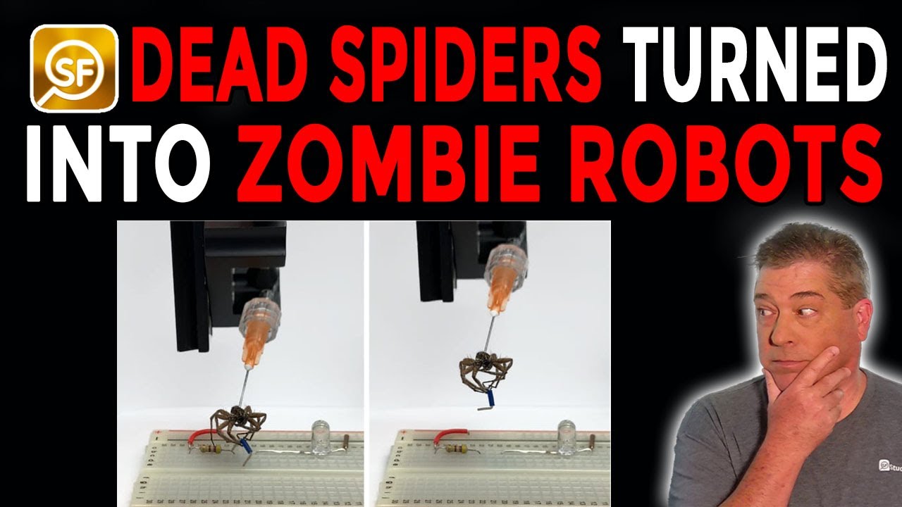 Zombie Spiders! Scientists Turn DEAD Spiders Into Robots! - YouTube