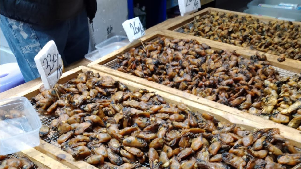 exotic & disgusting clam food hongkong #clam #seafood - YouTube