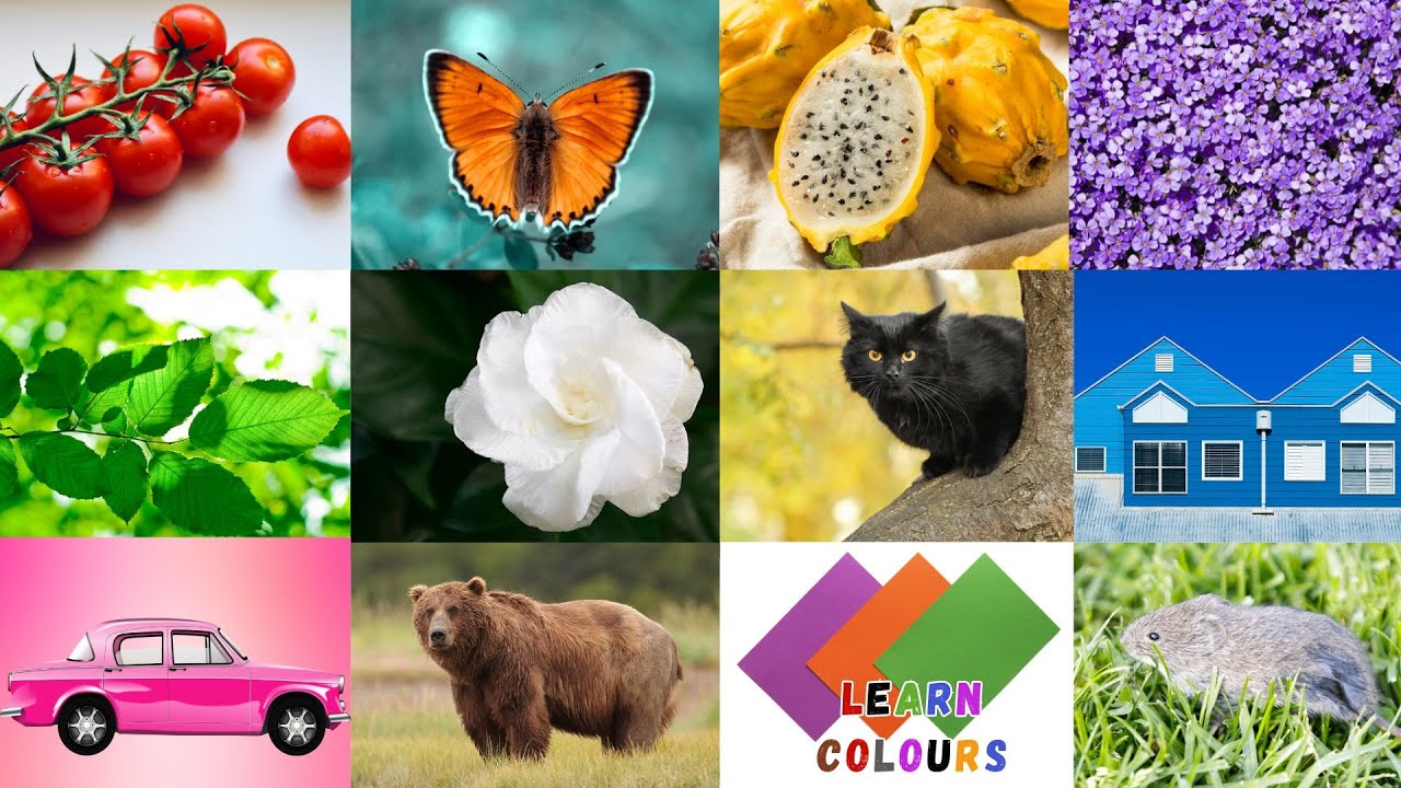 The Colors Song | We Love all the Colors! | Colors Song for Preschool ...