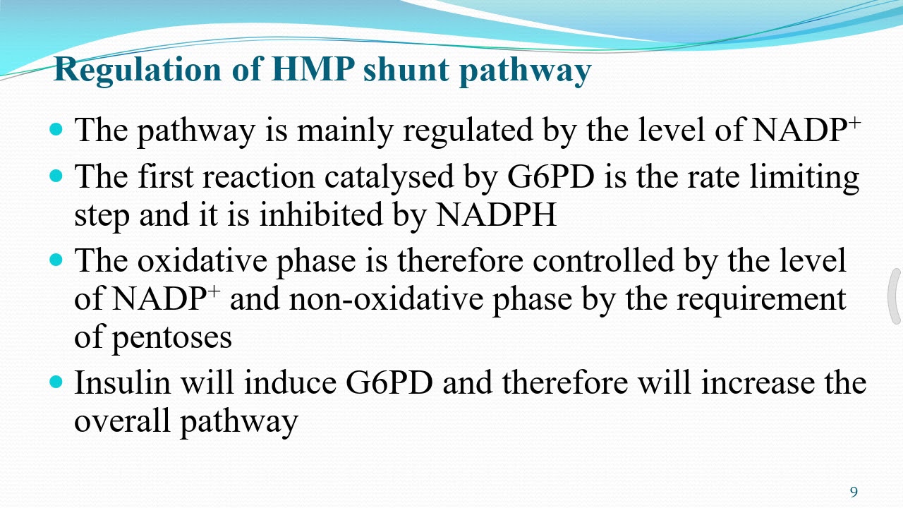 19 5 20 Biochemistry 1st BSc AHS HMP Shunt pathway - YouTube
