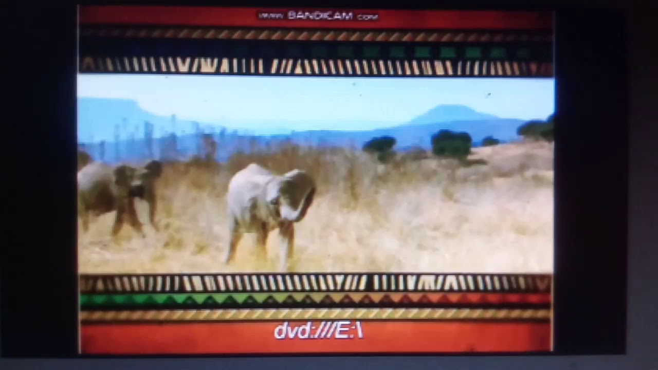 Elephant Tales: DVD Trailer (2008) - YouTube