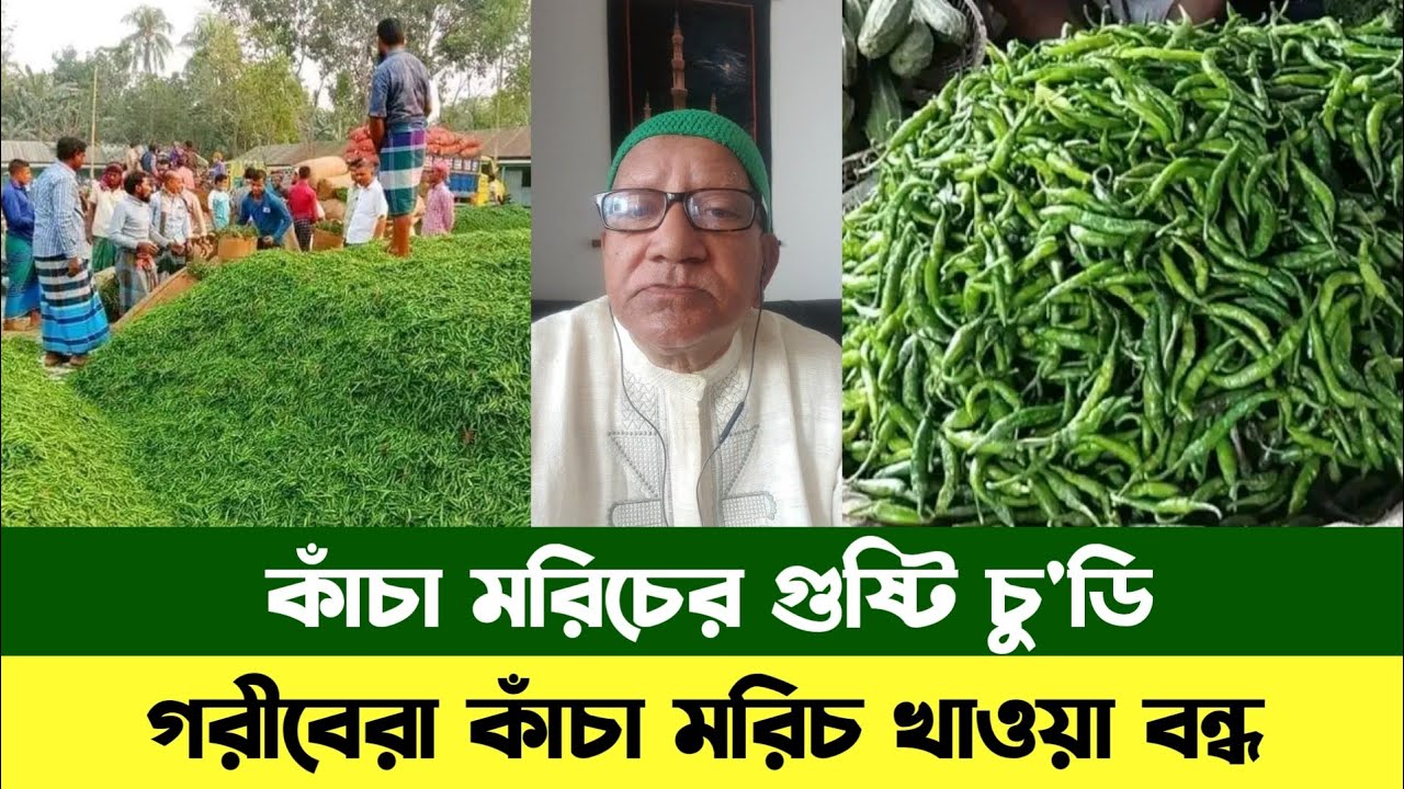 কাঁচা মরিচের গুষ্টি চু★ | কাঁচা মরিচ দাম | sefuda new video | bd news ...