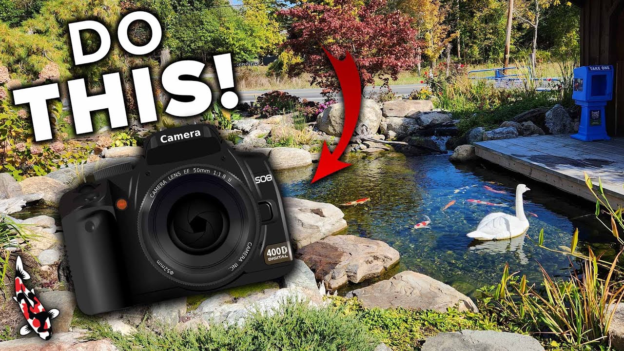 How To Take Photos For Your Upcoming Project - YouTube