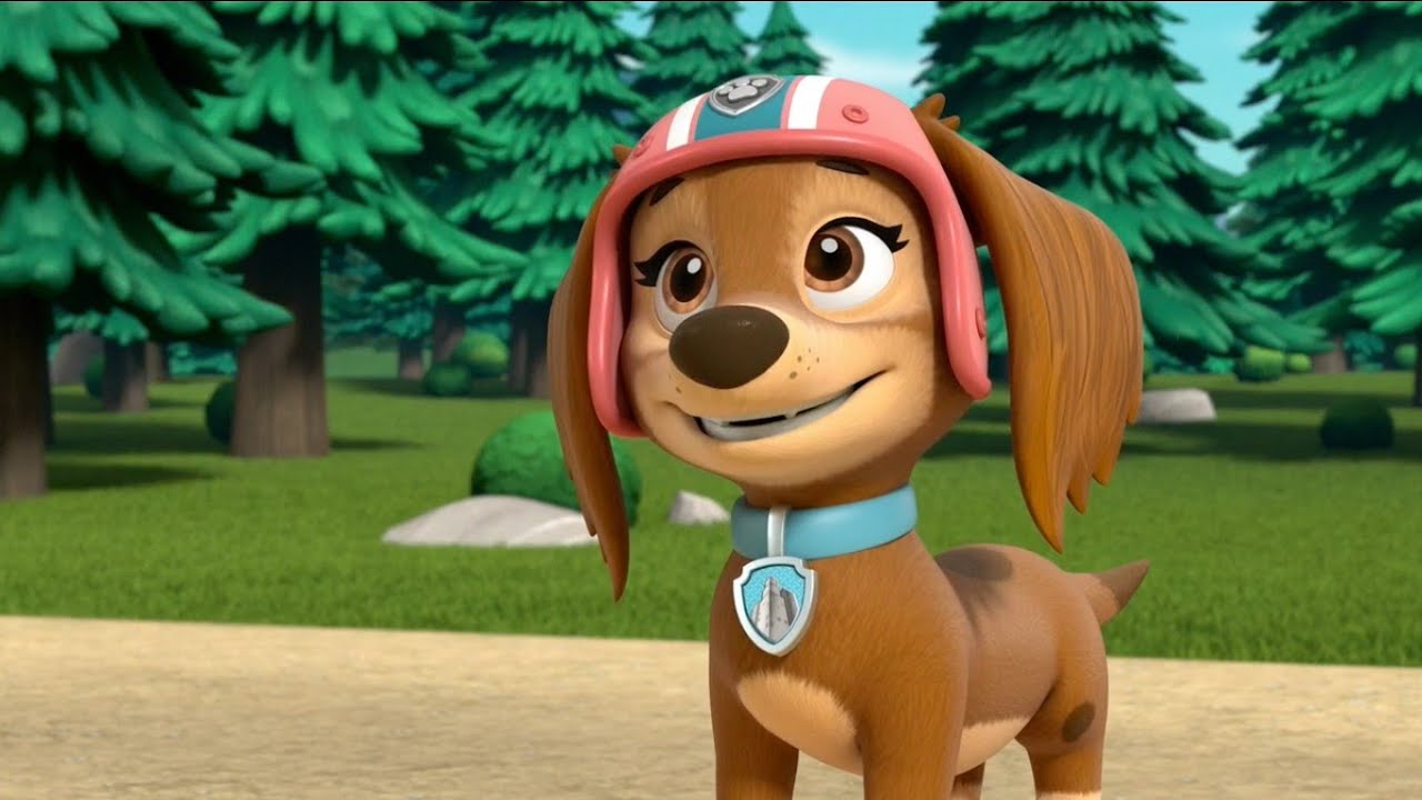 Paw Patrol (Skye, Everest, Liberty & Chase) - I Hope (by Gabby Barret ...