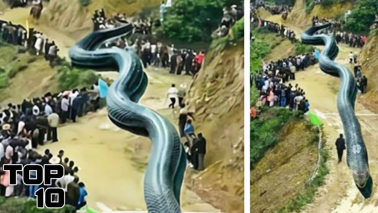 Top 10 Terrifying Creatures Scientists Want To Bring Back From ...