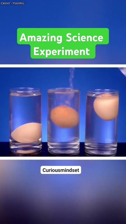 Amazing Science experiment #facts #viralvideo #ytshort #education #MD SCI CLASSES - YouTube