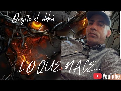 lo que nace.orejita el obba.+529622122876