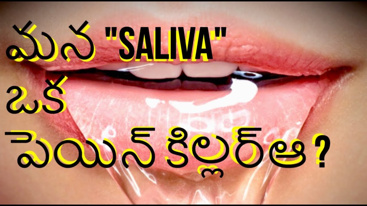 మన "SALIVA" ఒక పేయిన్ కిల్లర్..!! | Interesting and Unknown FACTS ...