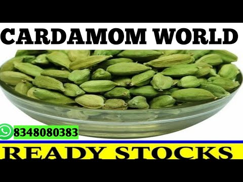 How to start elaichi business |green elaichi | How to buy best Elaichi ...