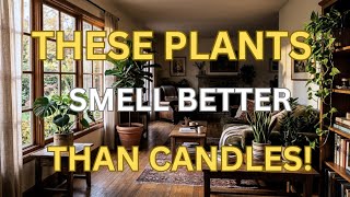 🌿 5 Fragrant Plants That Make Your Entire Home Smell Amazing