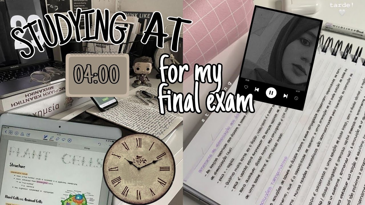 waking up at 4AM to study for my *board exam*📚📝 | Daily Study Vlog 🌷 ...